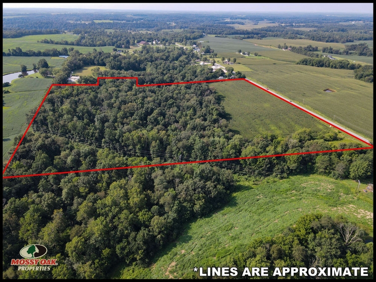 Discover Hunting Land for Lease | CommonGround