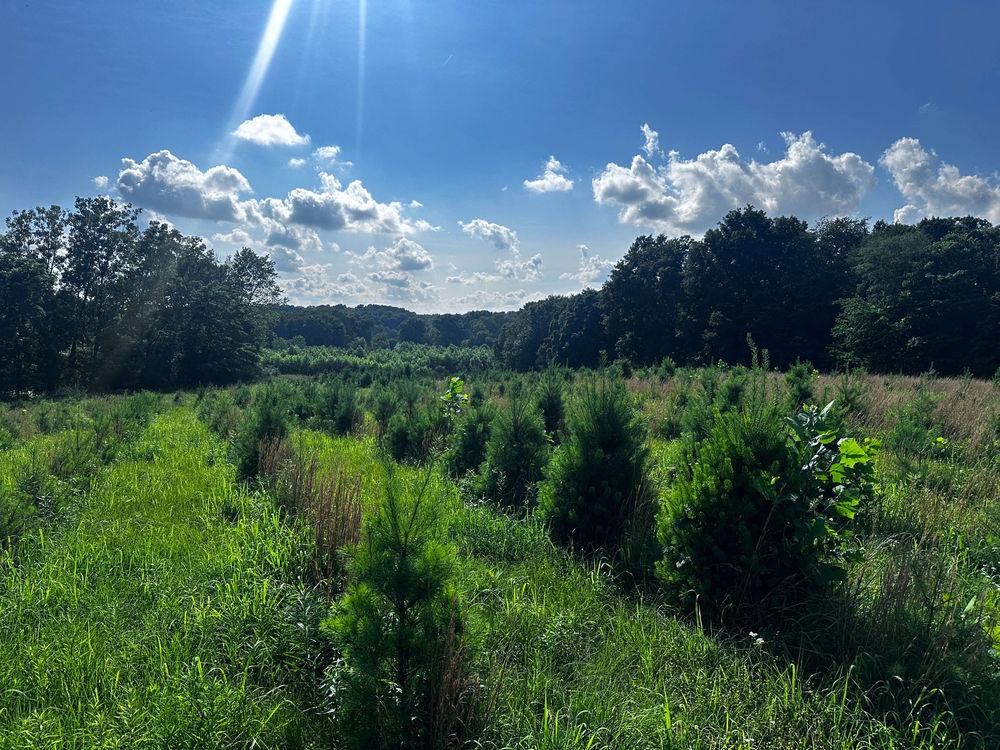 CommonGround | Farmland for Rent & Lease | Agriculture & Hunting Land ...