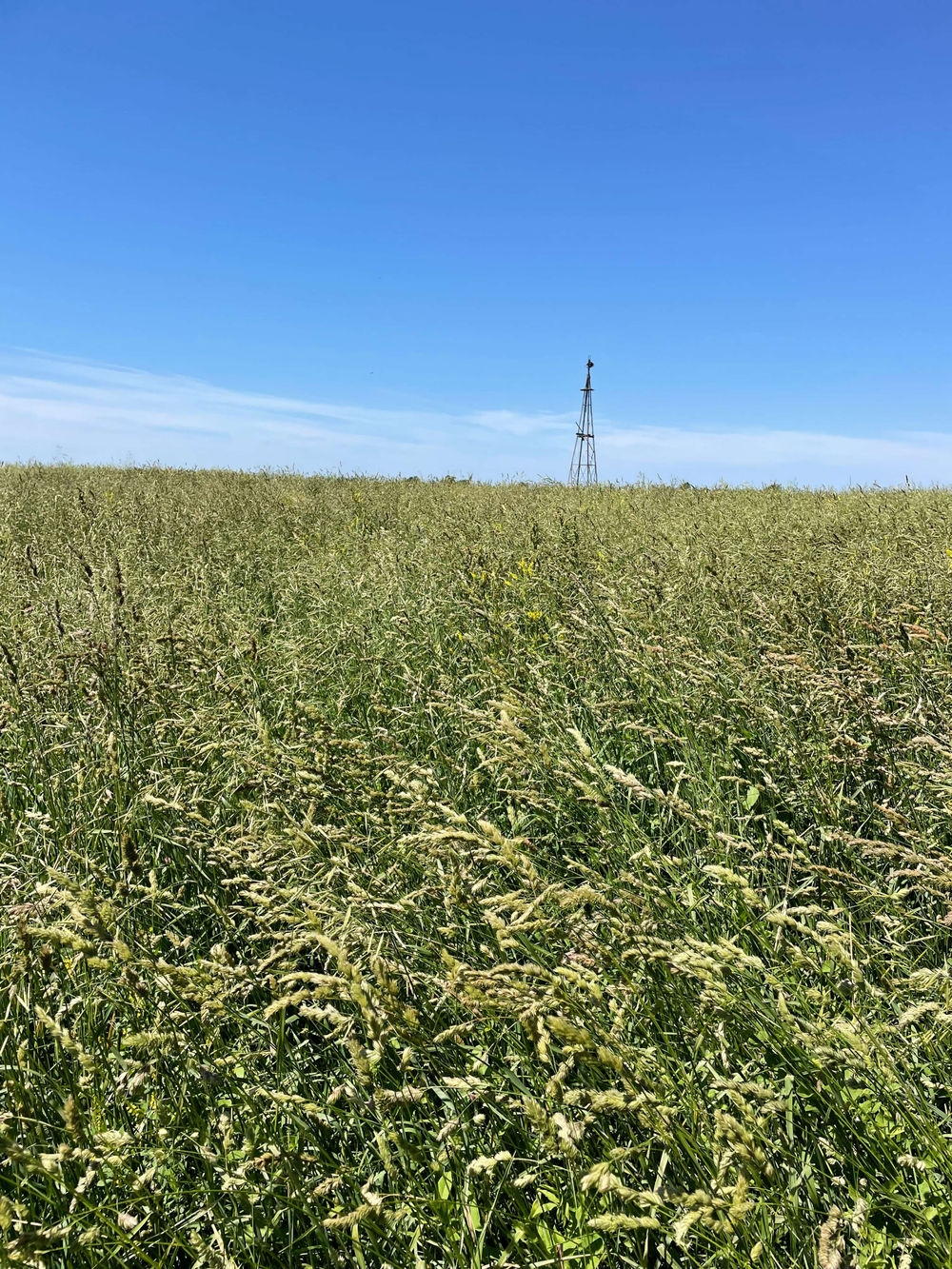 CommonGround | Farmland for Rent & Lease | Agriculture & Hunting Land ...